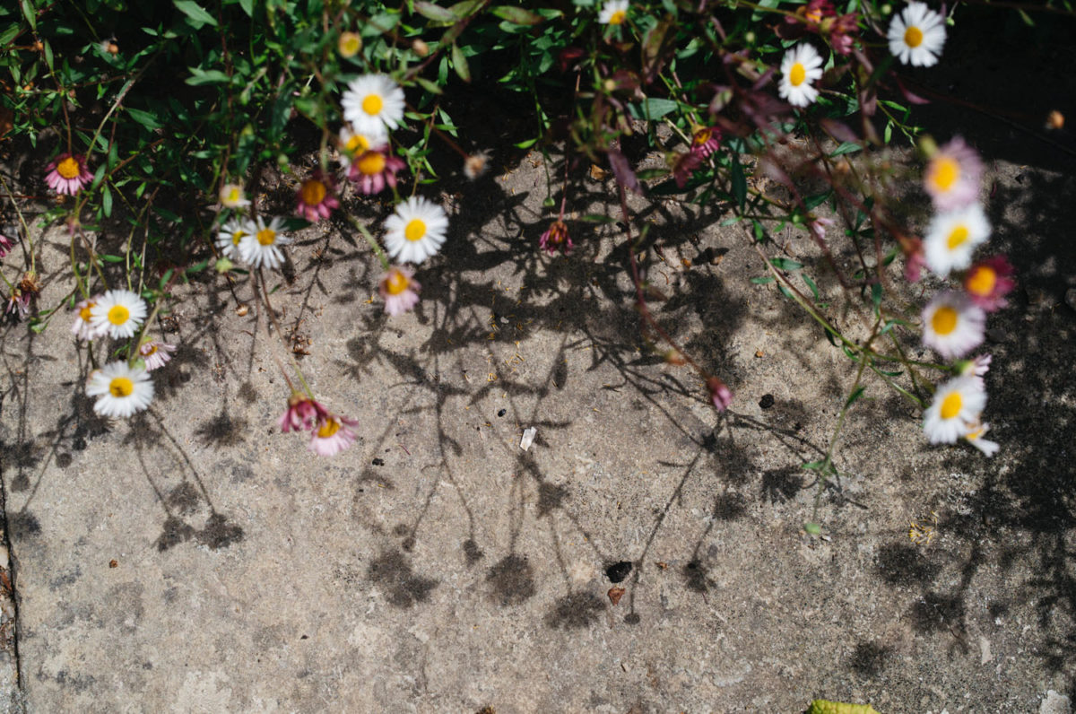 Charleston — Further Life Writing