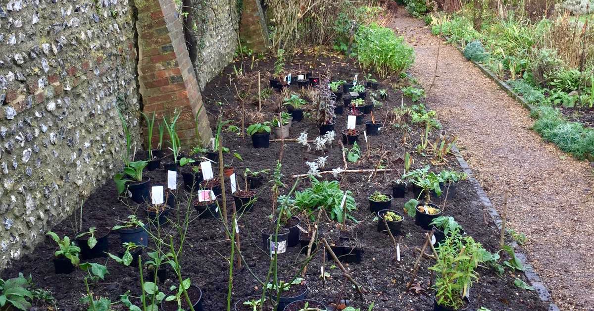 Charleston — Restoring Charleston’s Studio Border