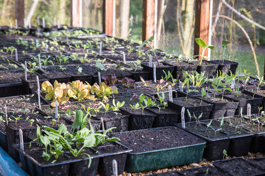 Charleston — Tom Daniels & Freya Robinson: Living Compost for Living Soil