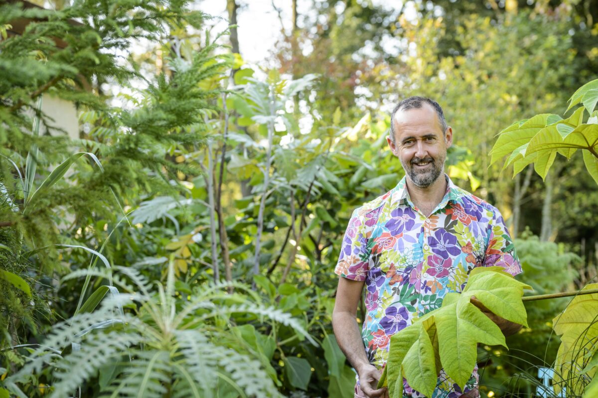 Charleston — A Beautiful Obsession