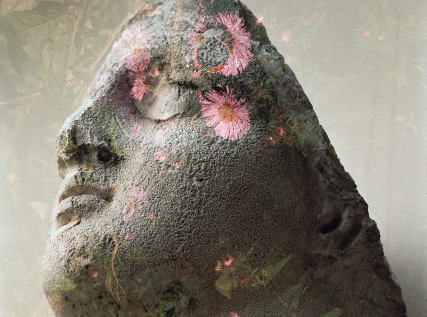 Charleston — Charleston Festival announces programme for special 35th ...
