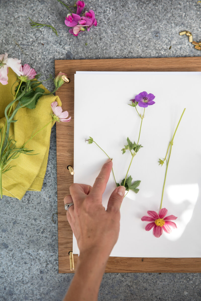 Charleston — Flower Pressing with JamJar Edit