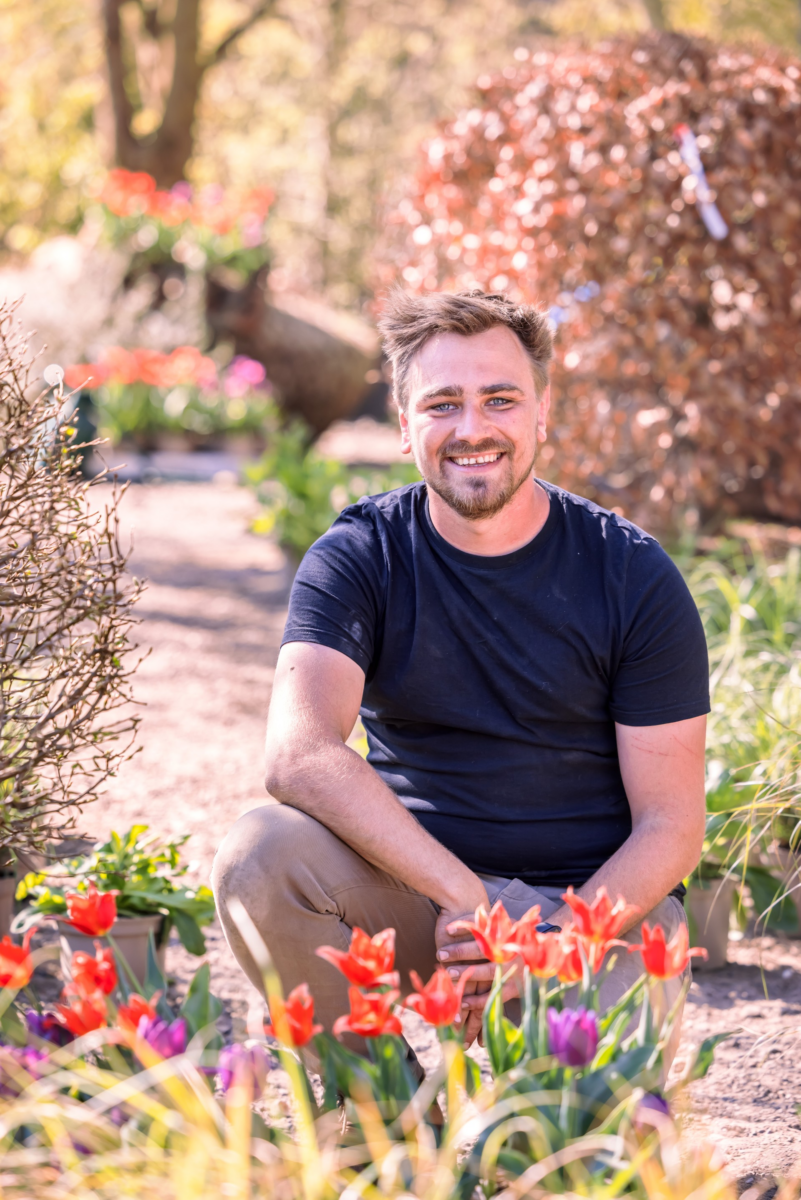 Charleston — Shape and Form